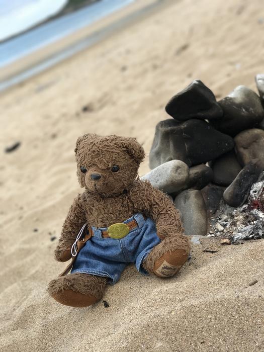 Teddy Bear Beach free image download