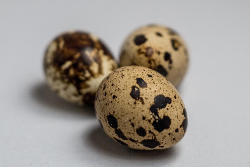 Small raw eggs free image download