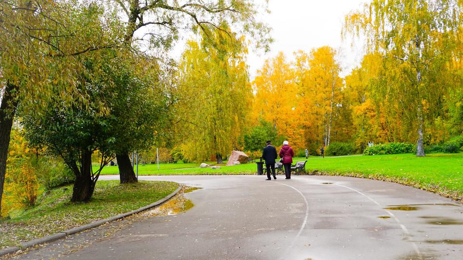 Autumn Season Fall free image download