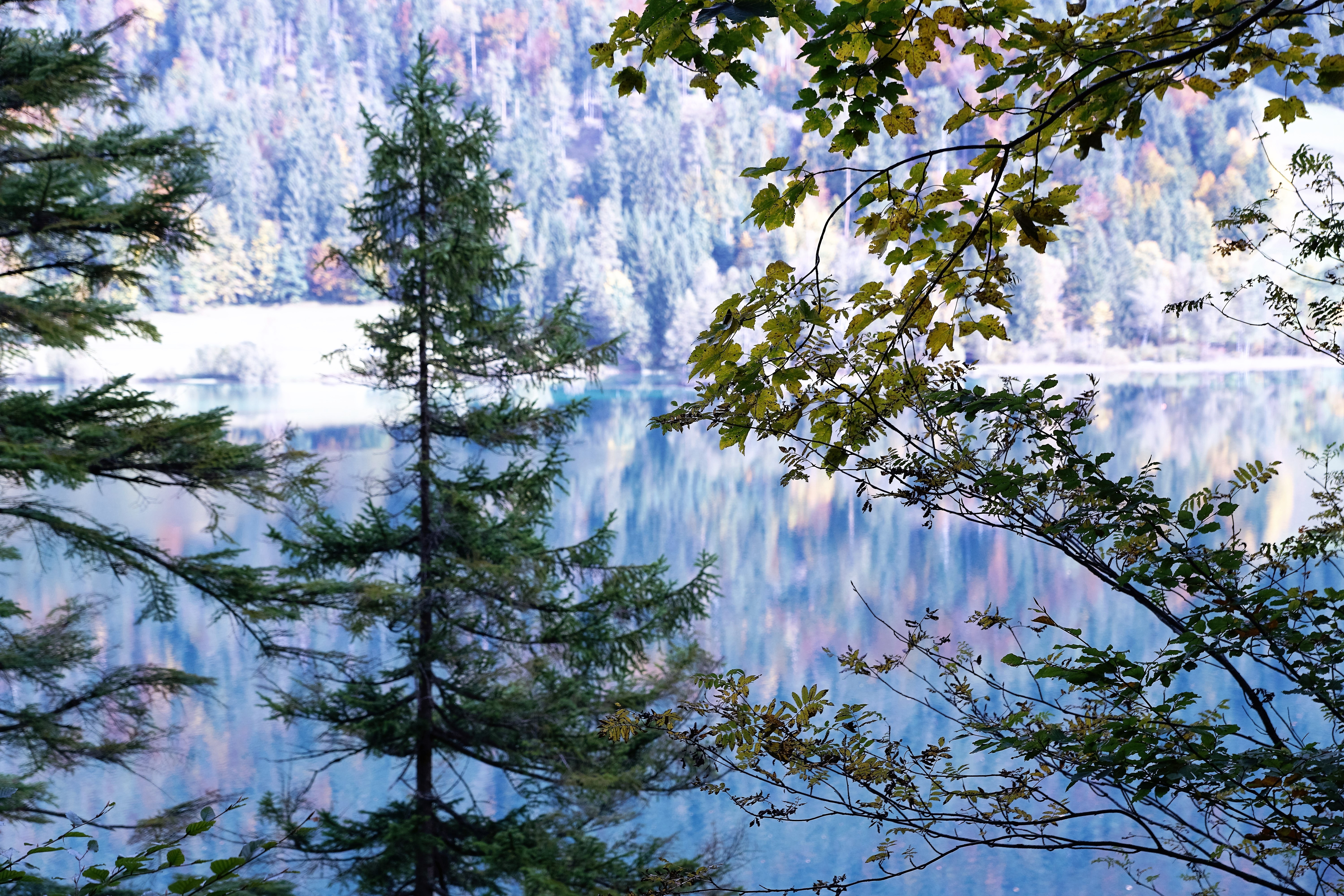 Ellmau Scheffau Austria free image download