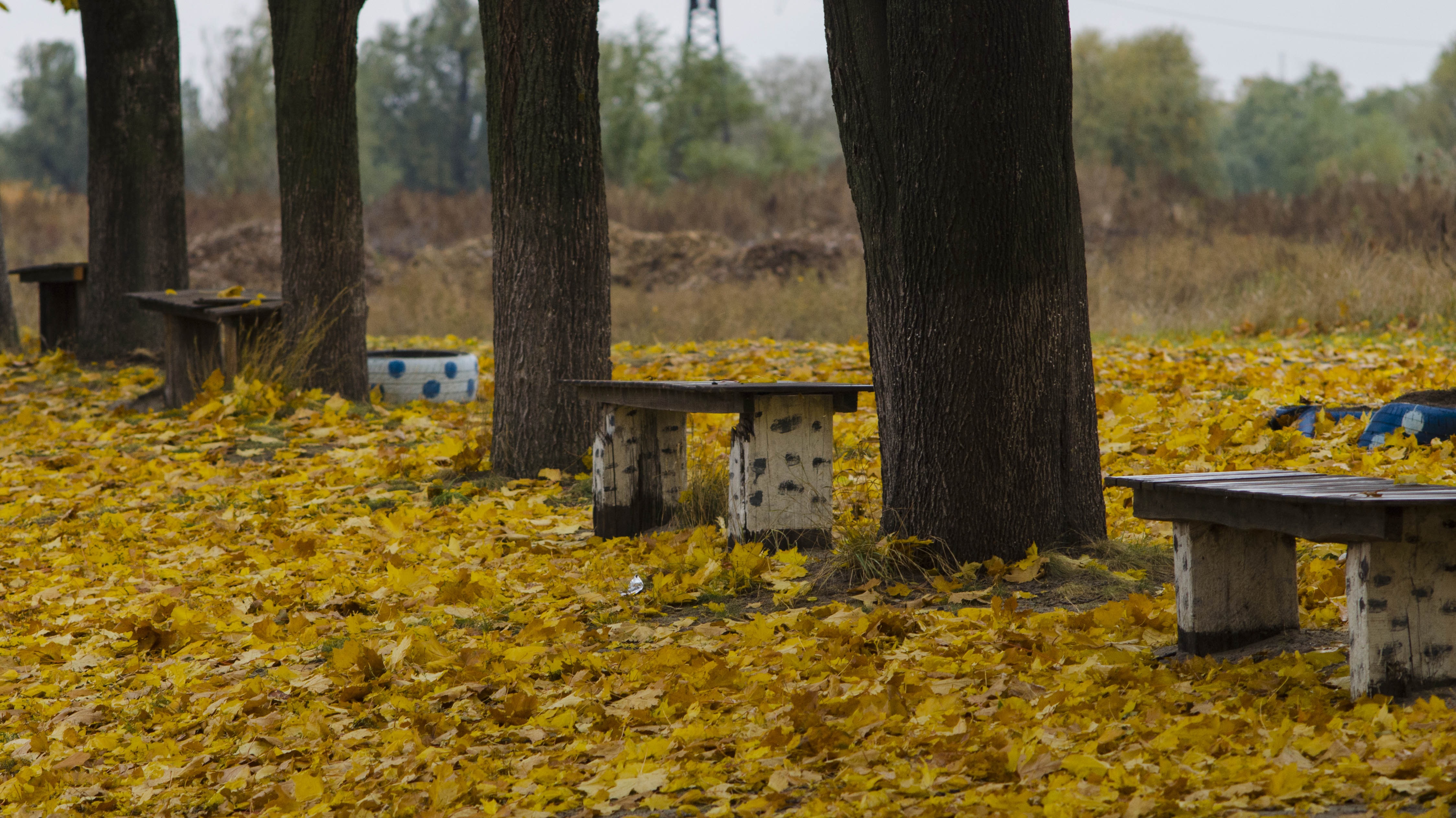 Bench Benches Autumn free image download