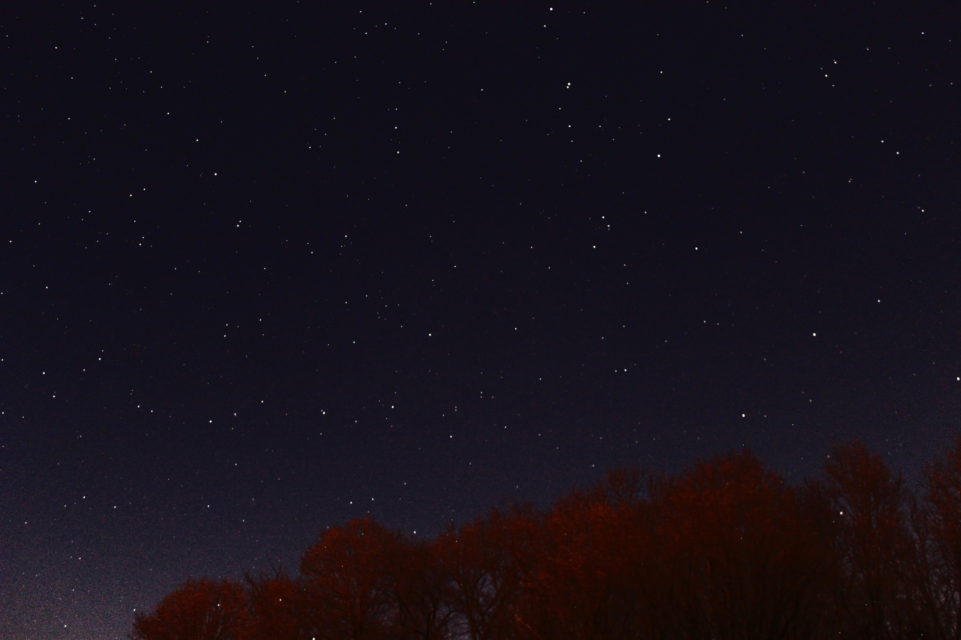 Nature Trees Night free image download
