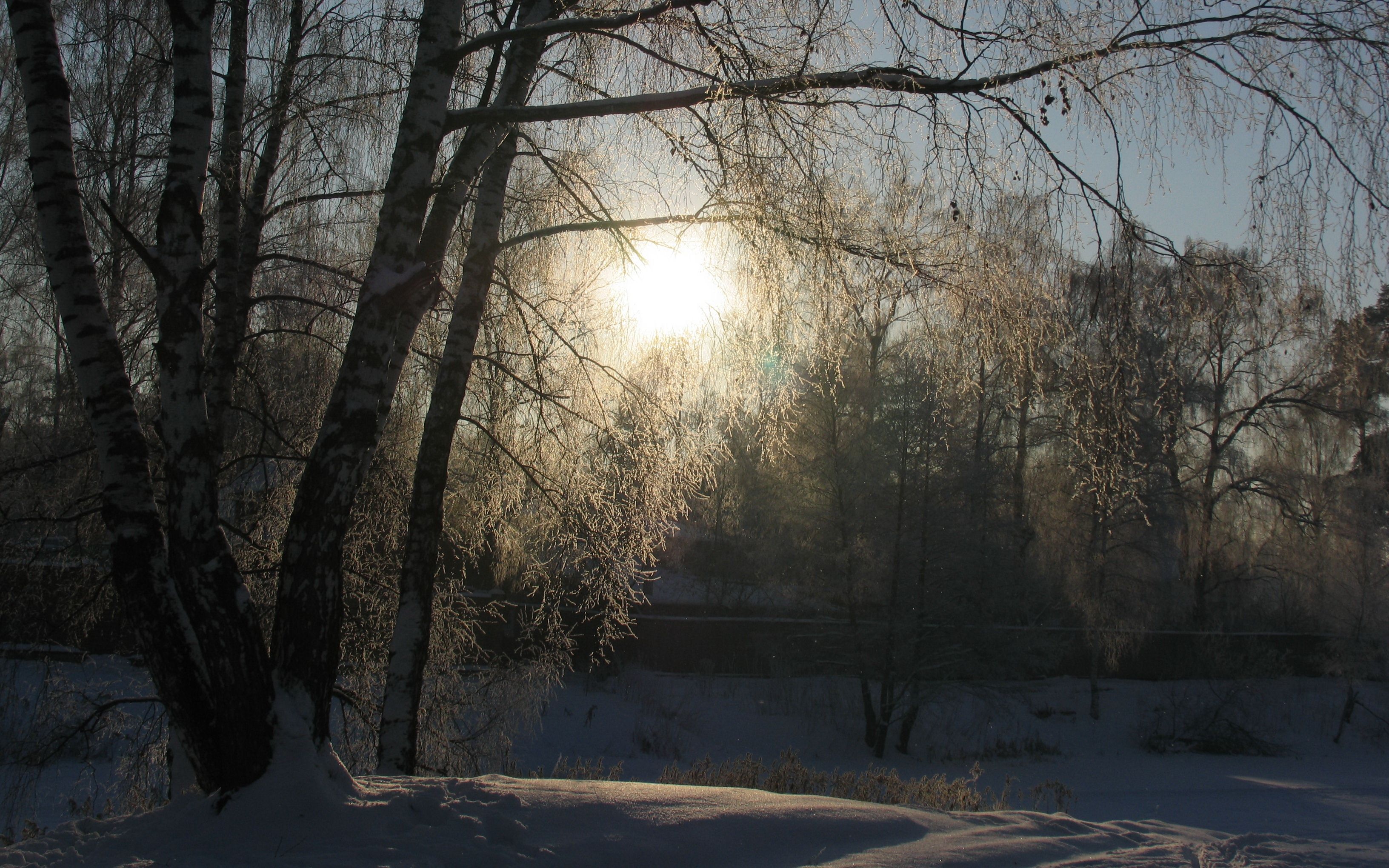 Winter Snow Sun free image download