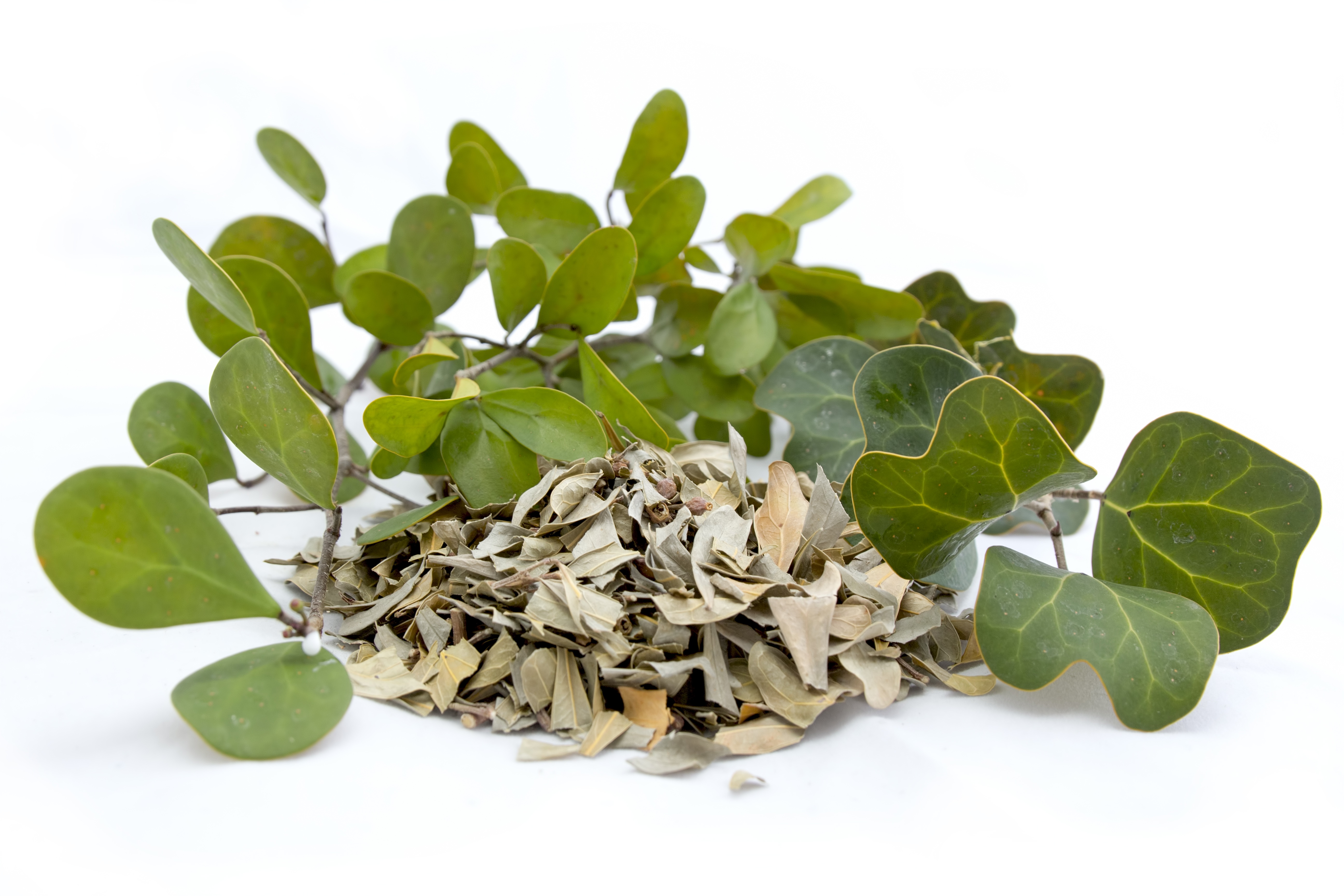 Dried aromatic leaves free image download