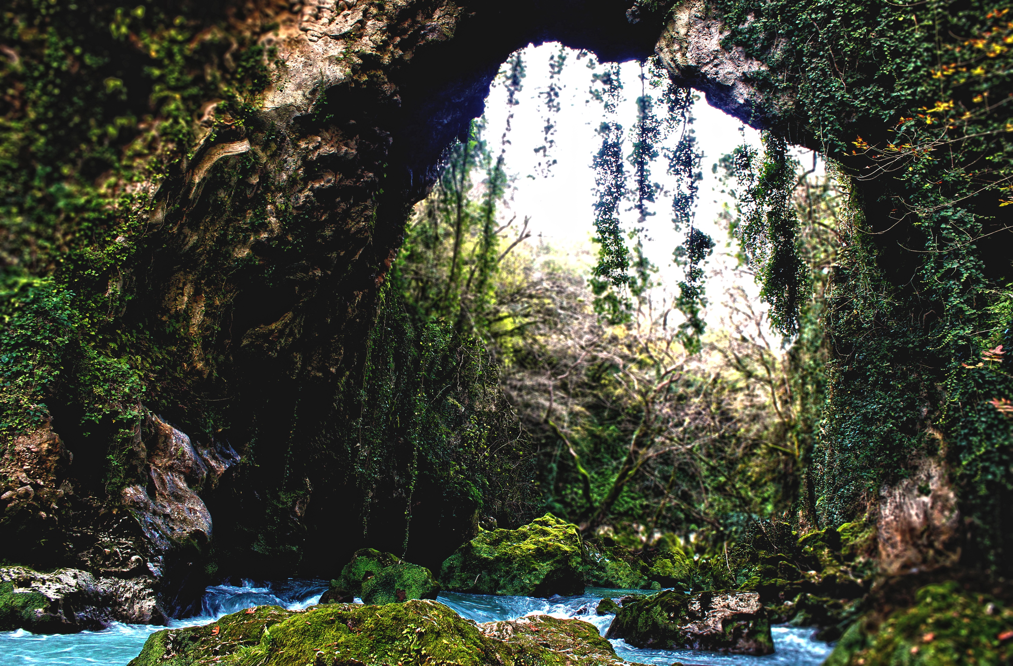 Bridge River Nature free image download