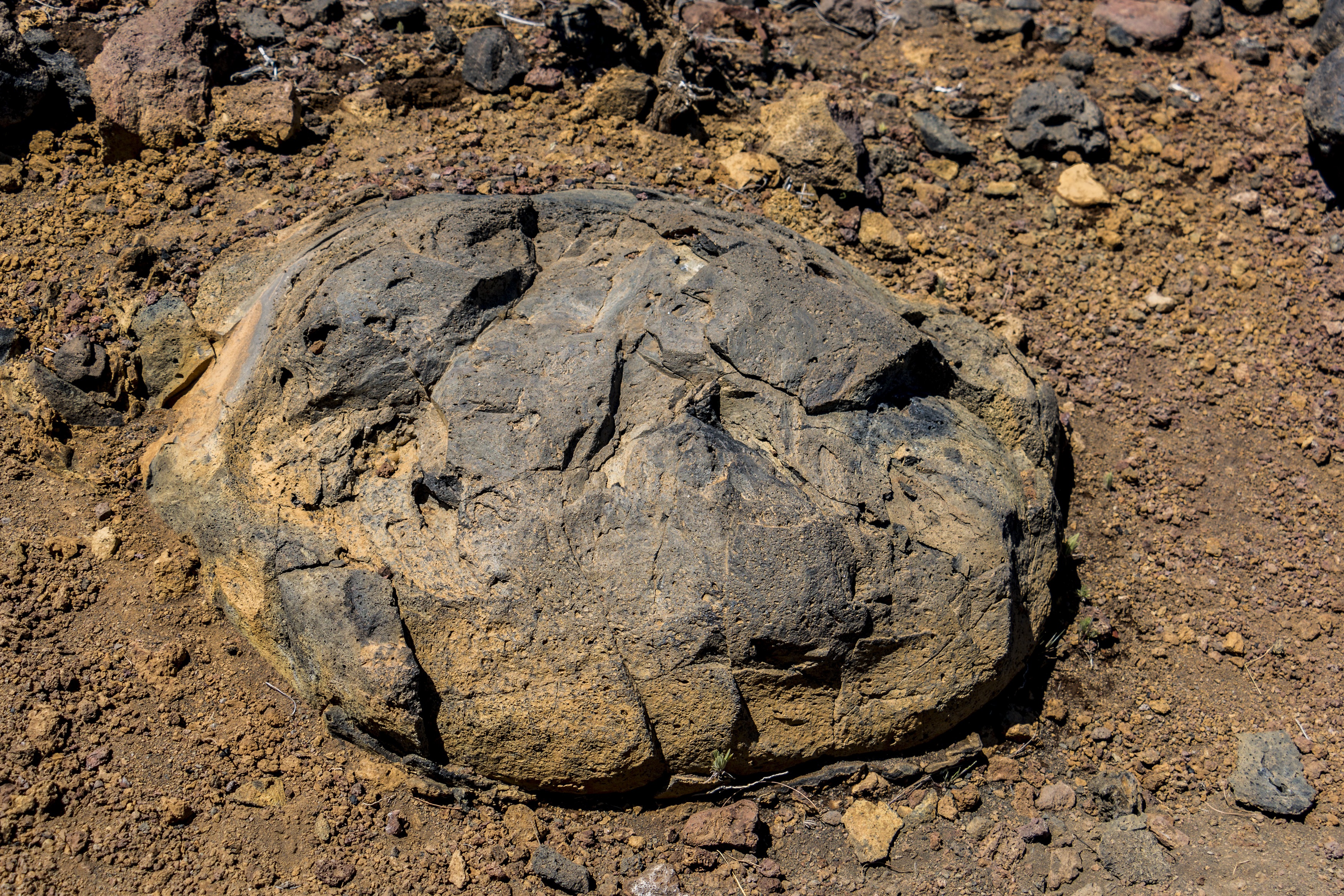 Volcanic stone in the ground free image download