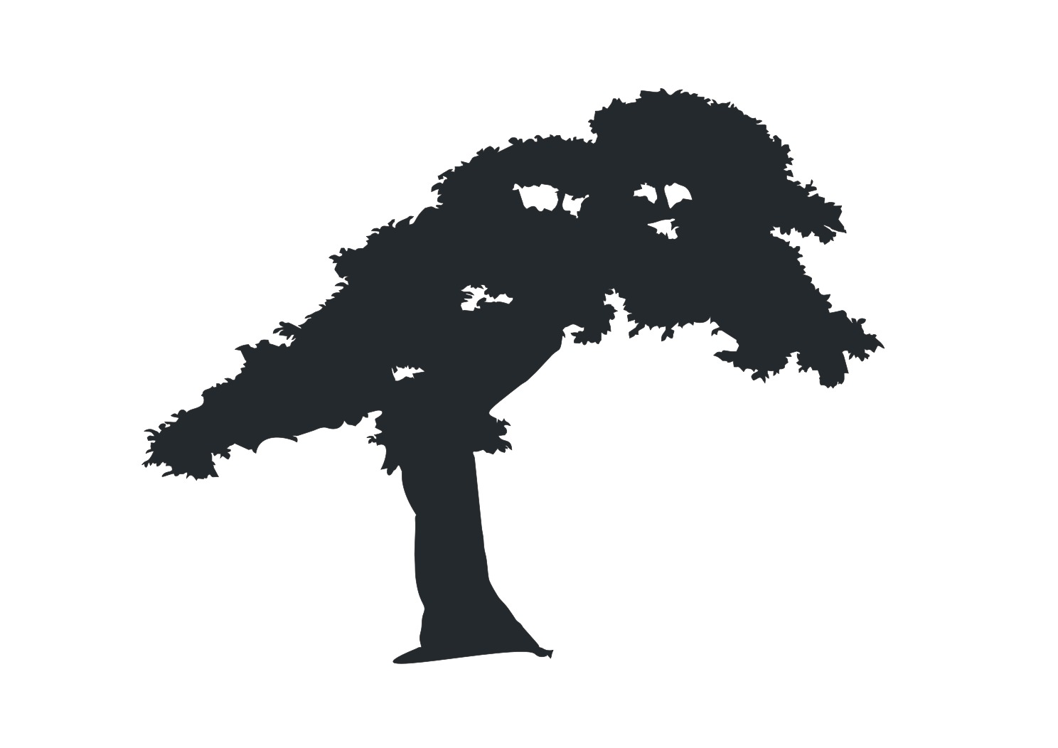 No one graphics nature tree free image download