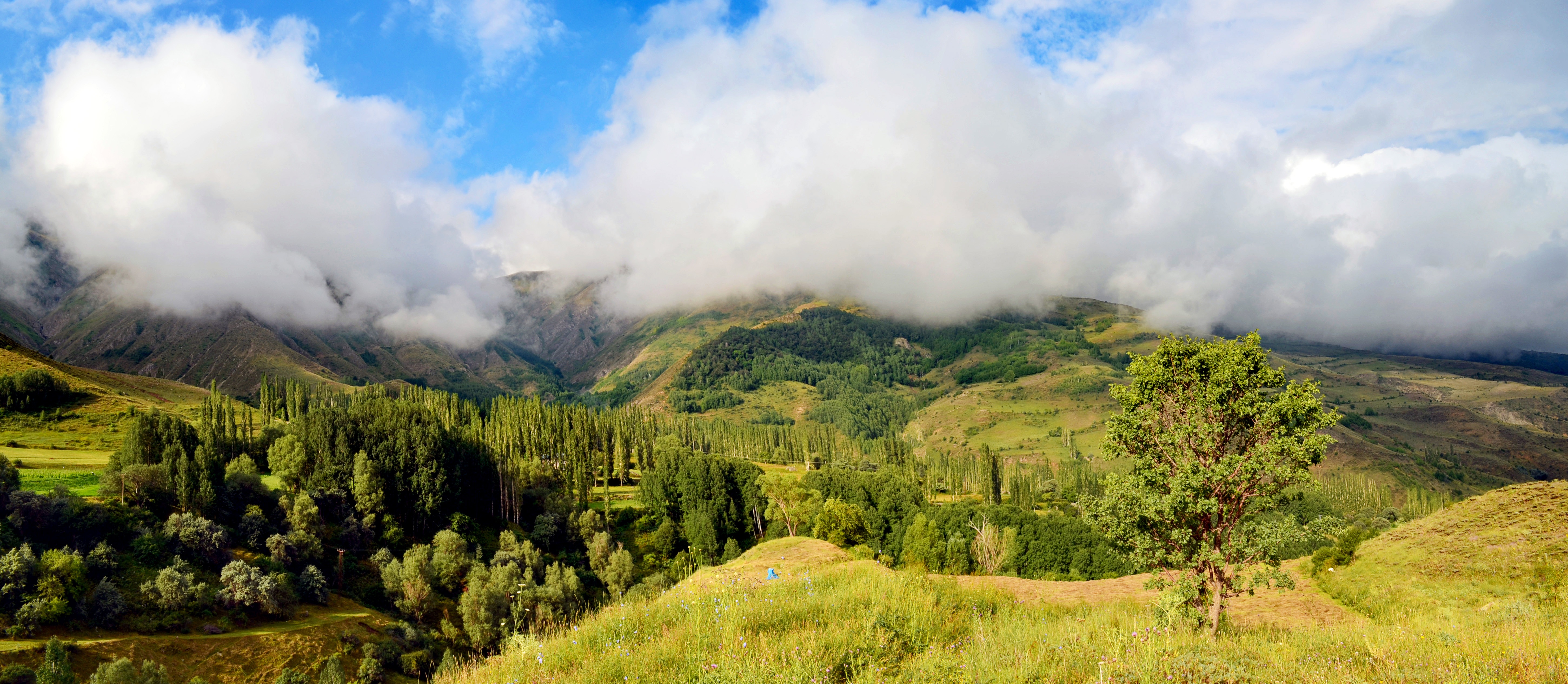 Nature Landscape plateaus free image download