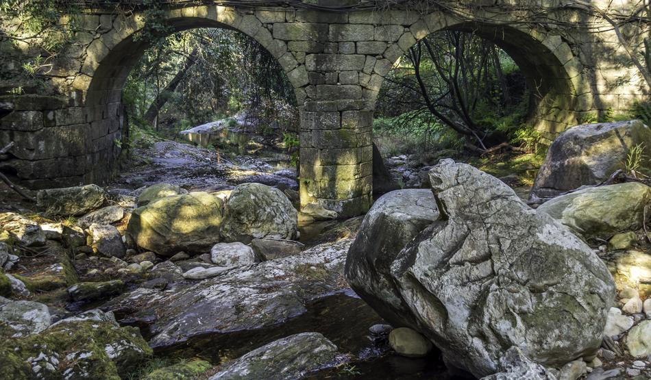 Bridges Rio Forest free image download