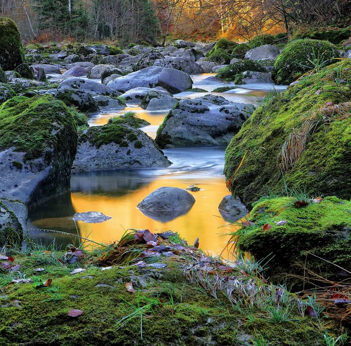 River Water Rocks free image download