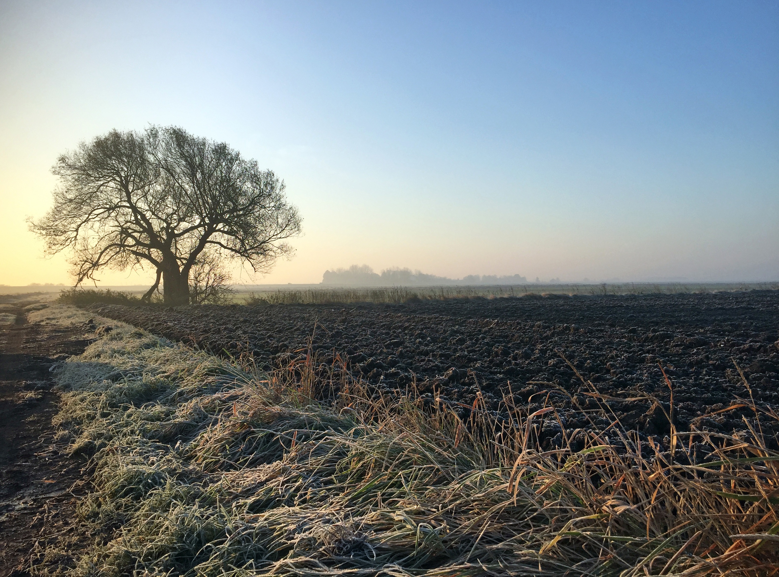 Morning Cold Landscape free image download