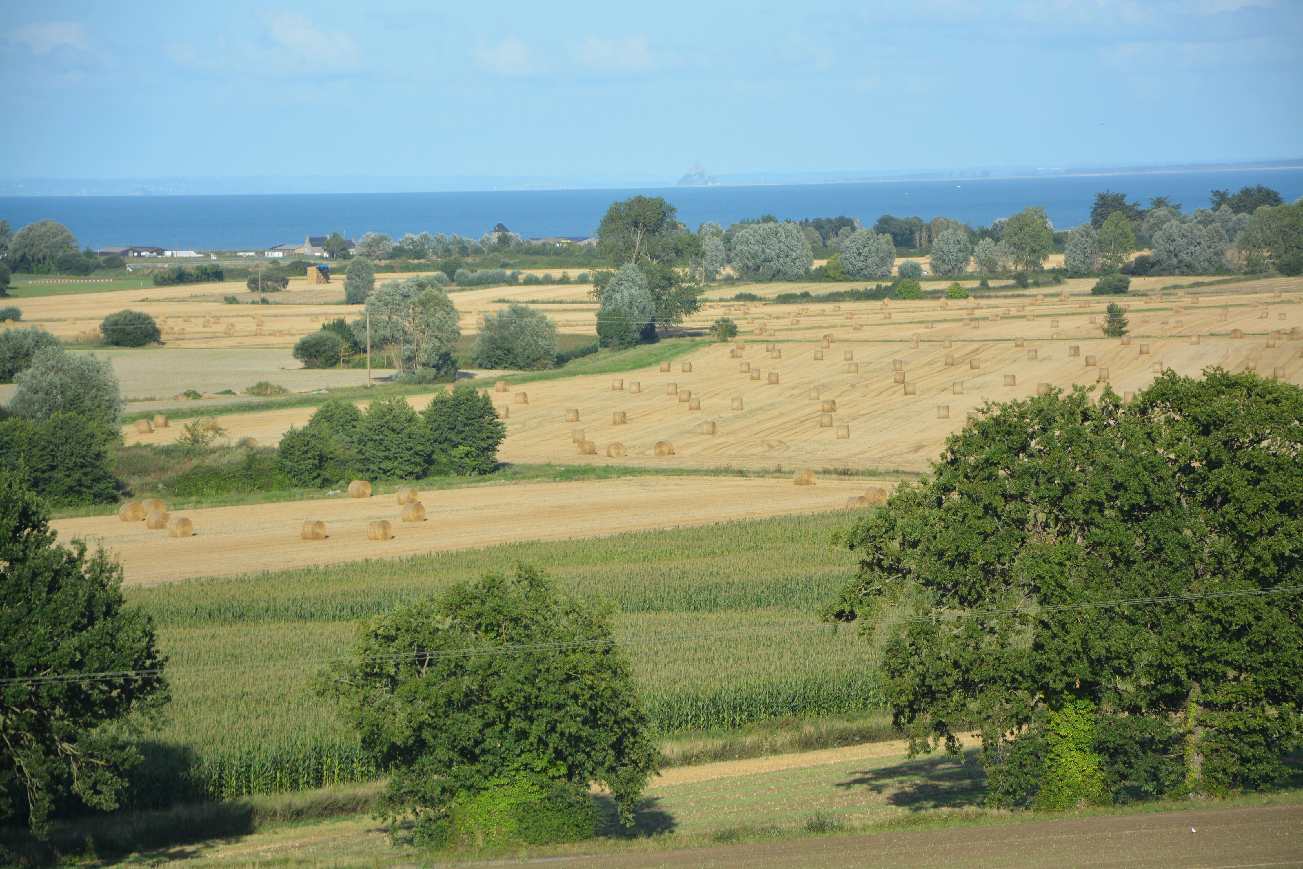Landscape of Field Horizon free image download