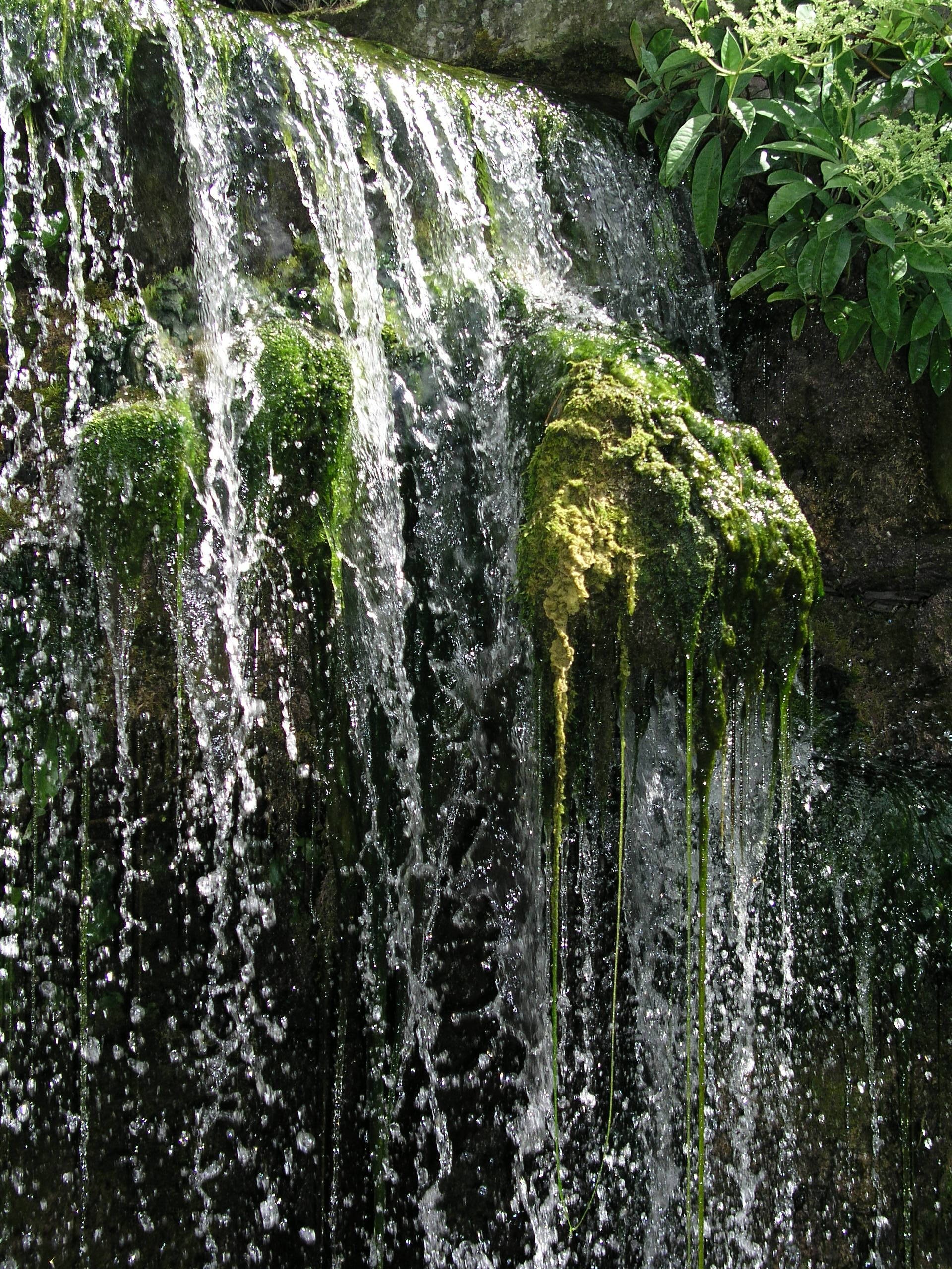 Waterfall Water in the forest free image download