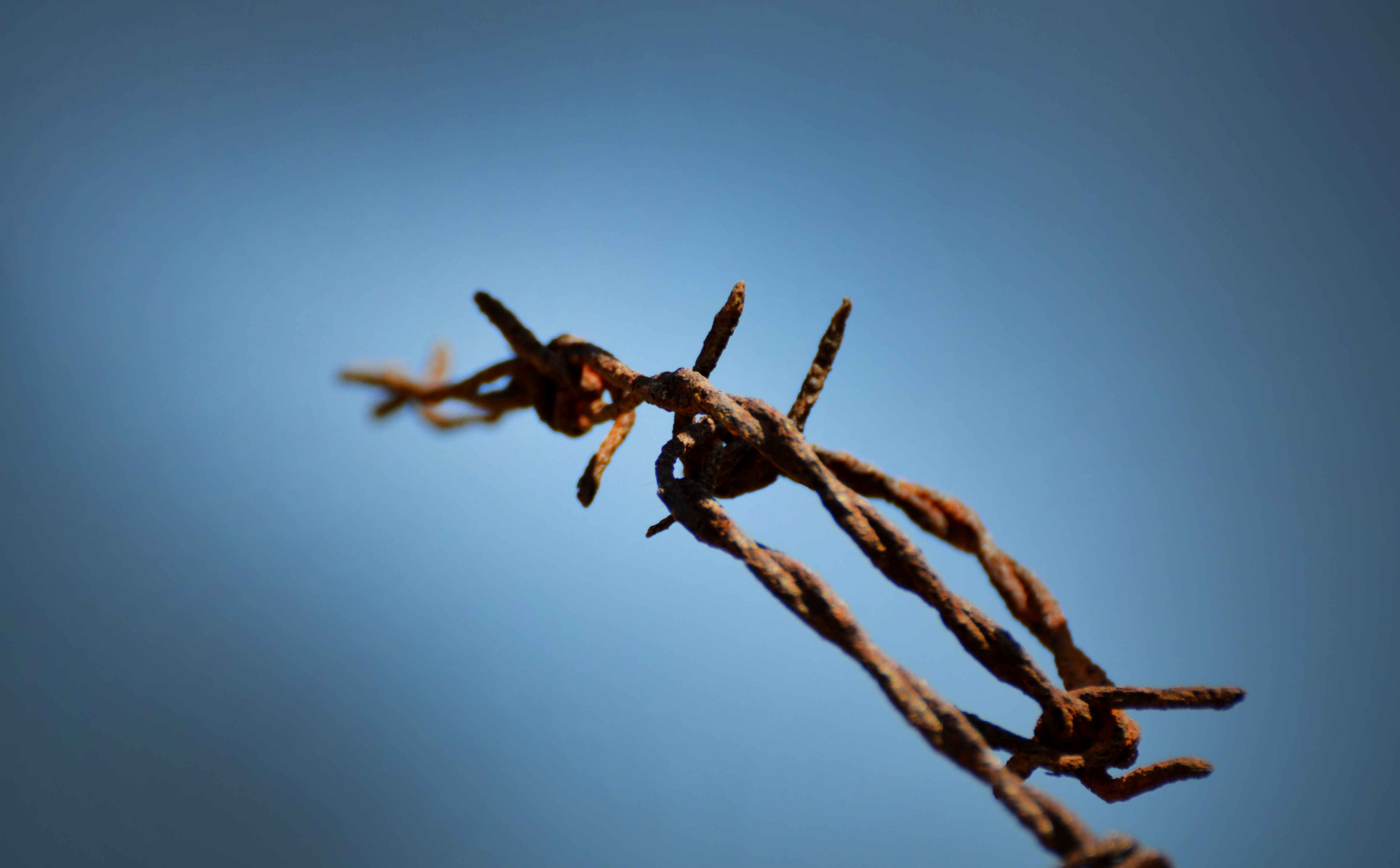 Rust Retro free image download