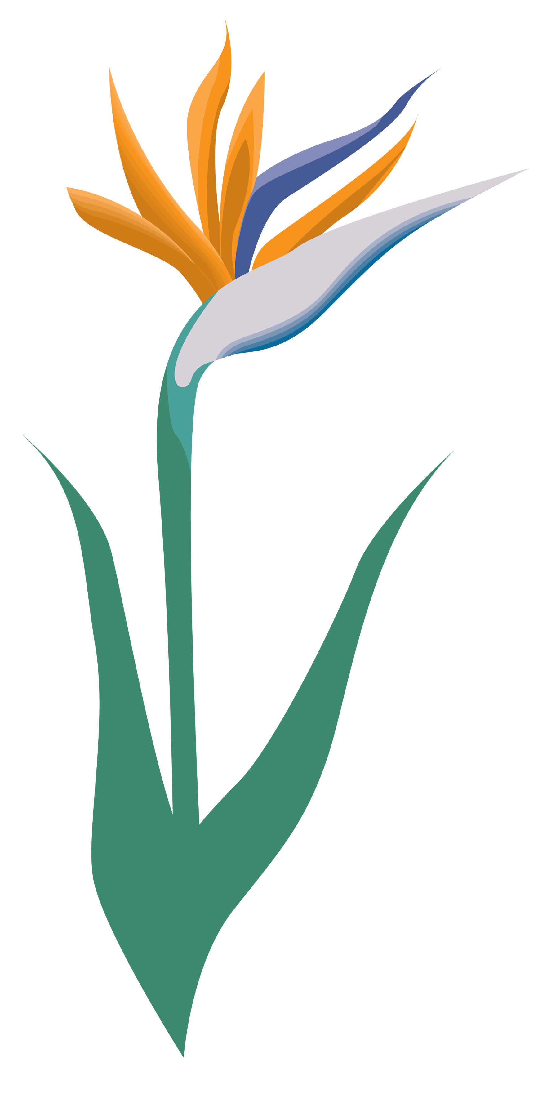 Flower icon symbol blossom logo free image download