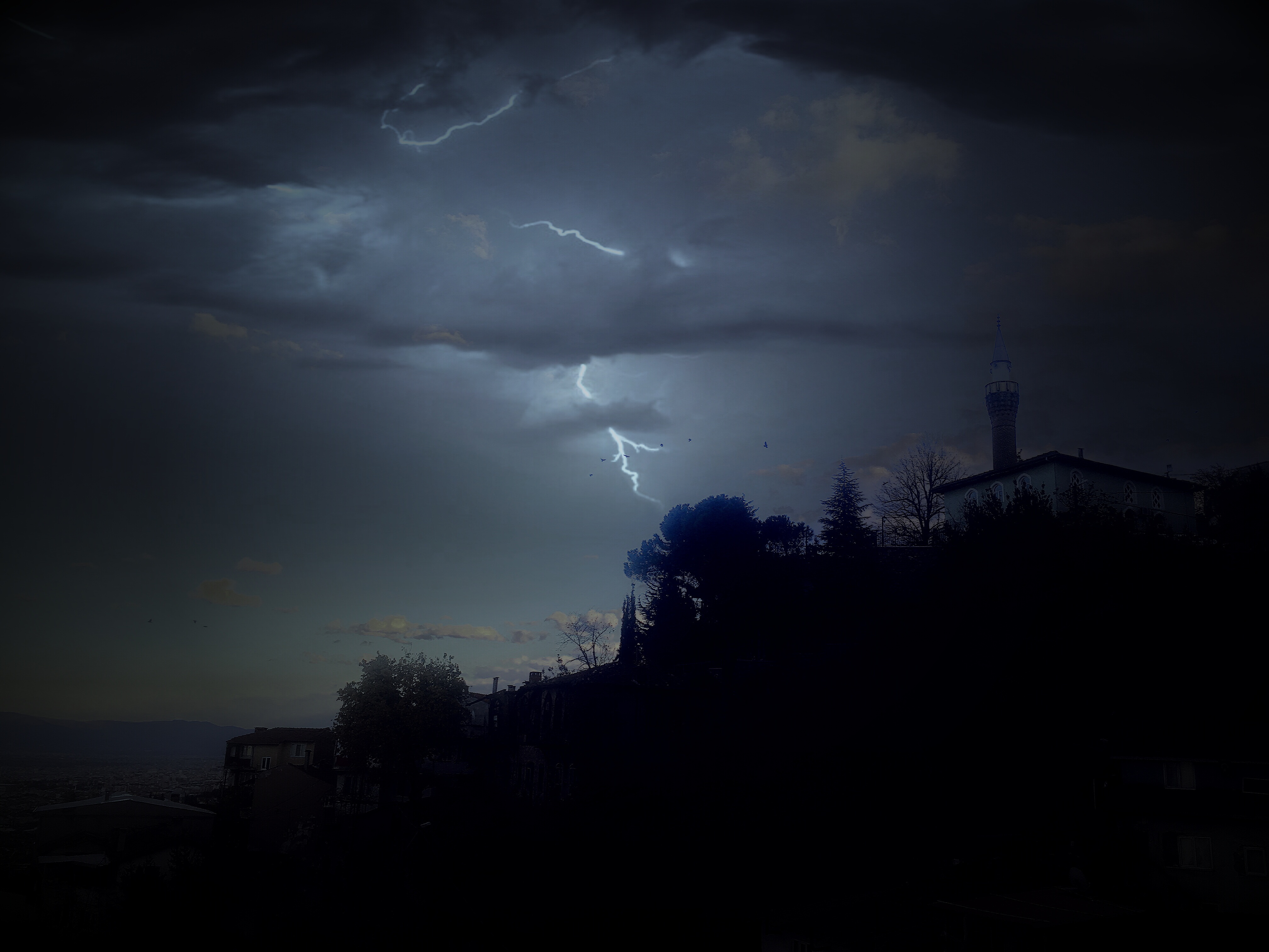 Lightning Tree Landscape free image download