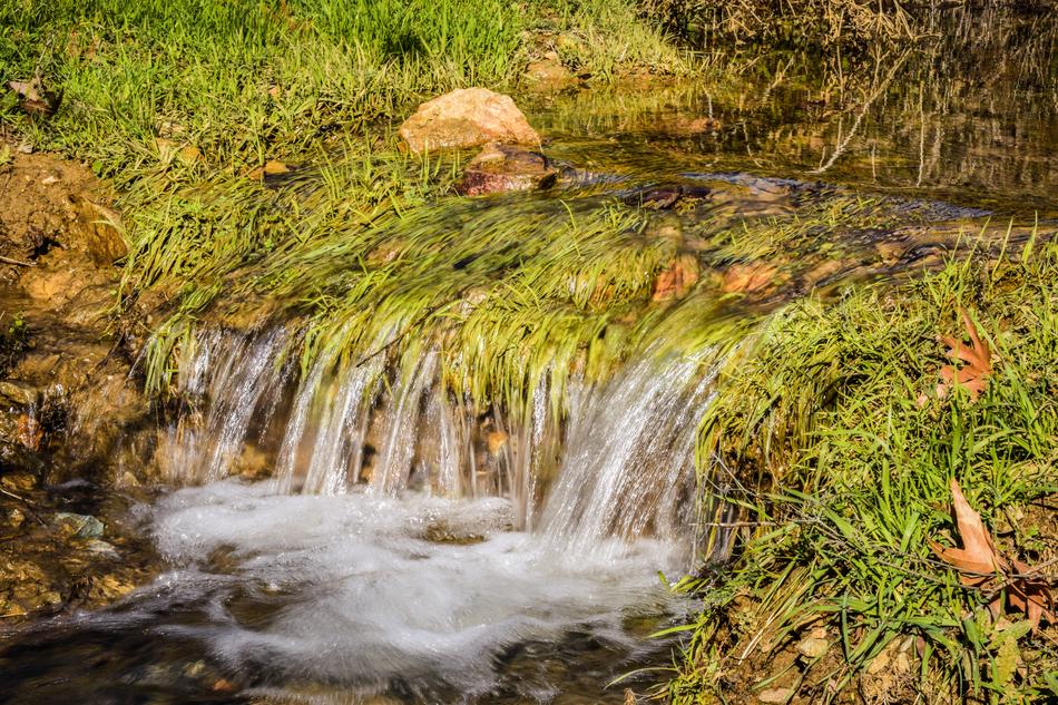 Water Nature Stream free image download