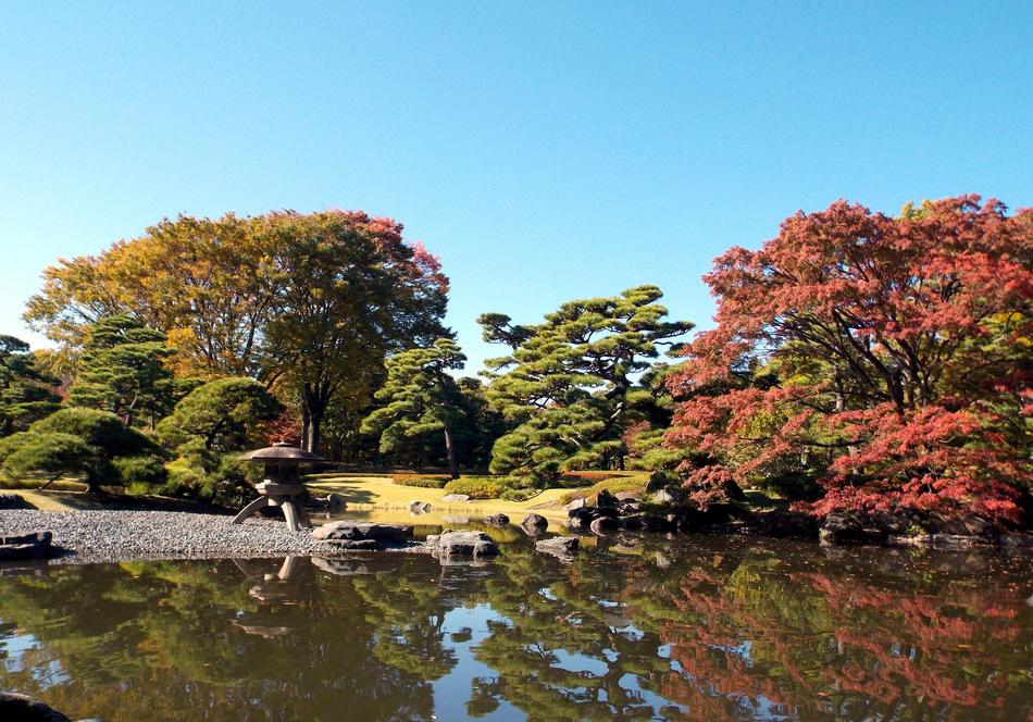 Nature Tree Autumn Body Of free image download
