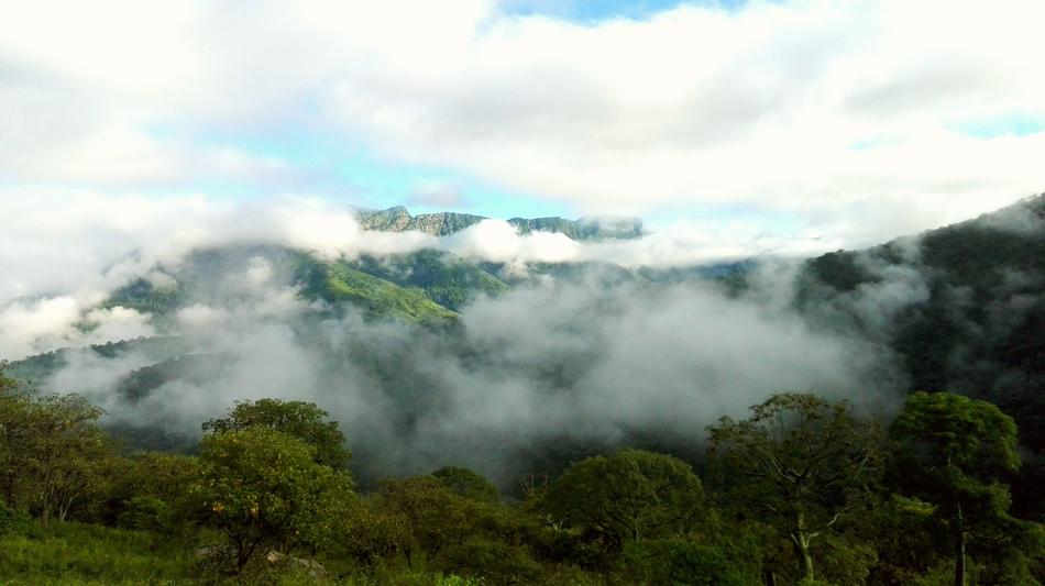 Nature Panoramic Fog free image download