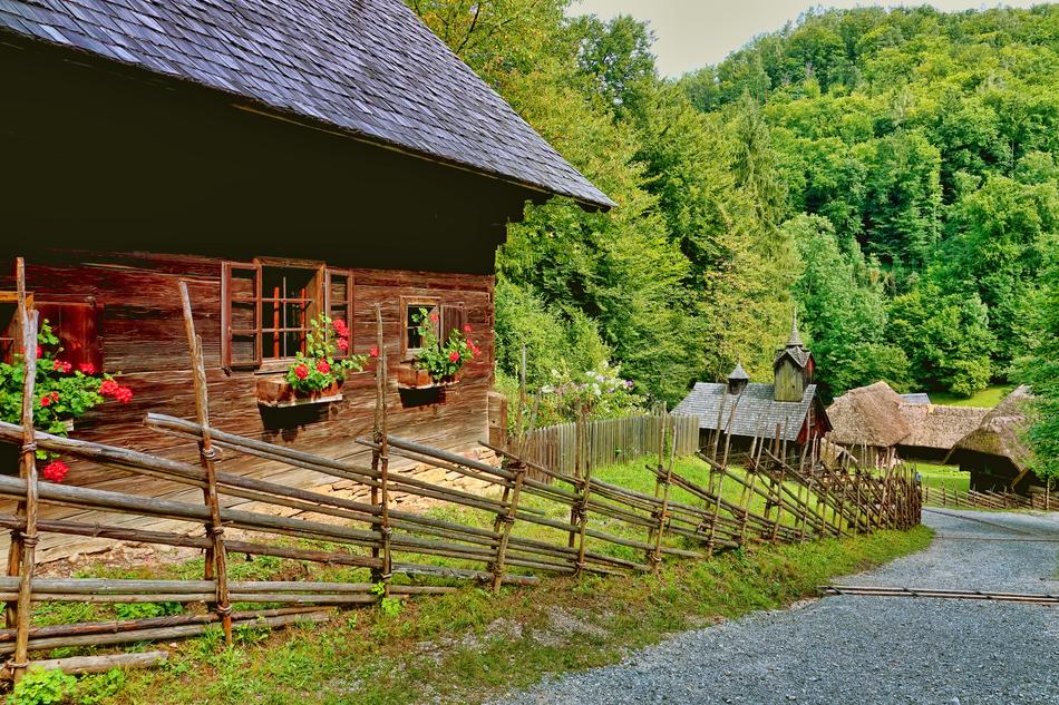 Nature Fence Summer free image download