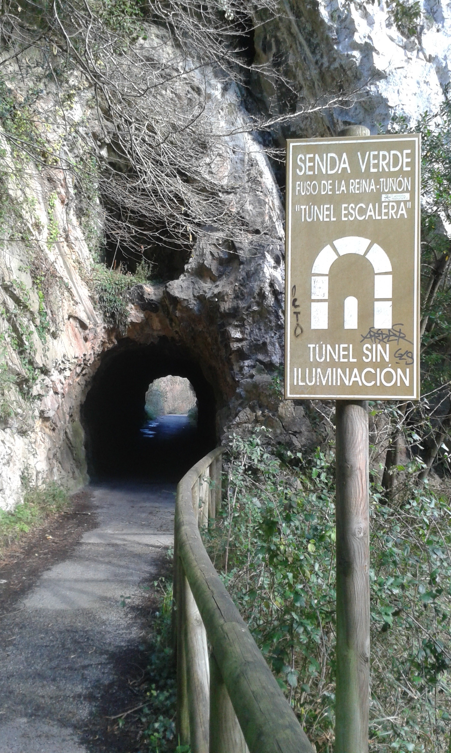 Trail Path Tunnel free image download