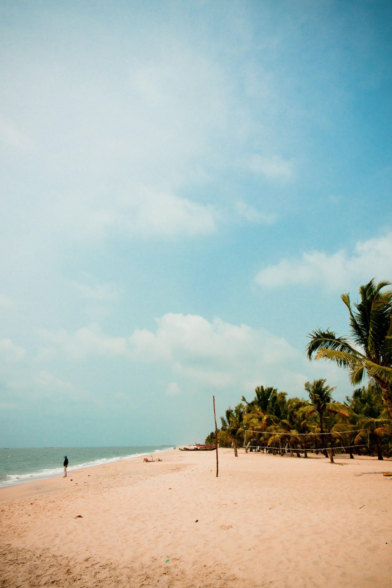 Beach Palm Boats free image download