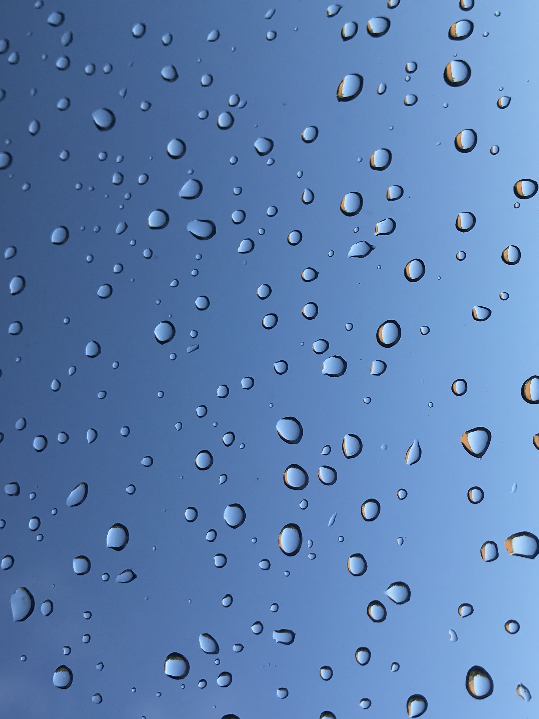 Raindrops Rain Water free image download