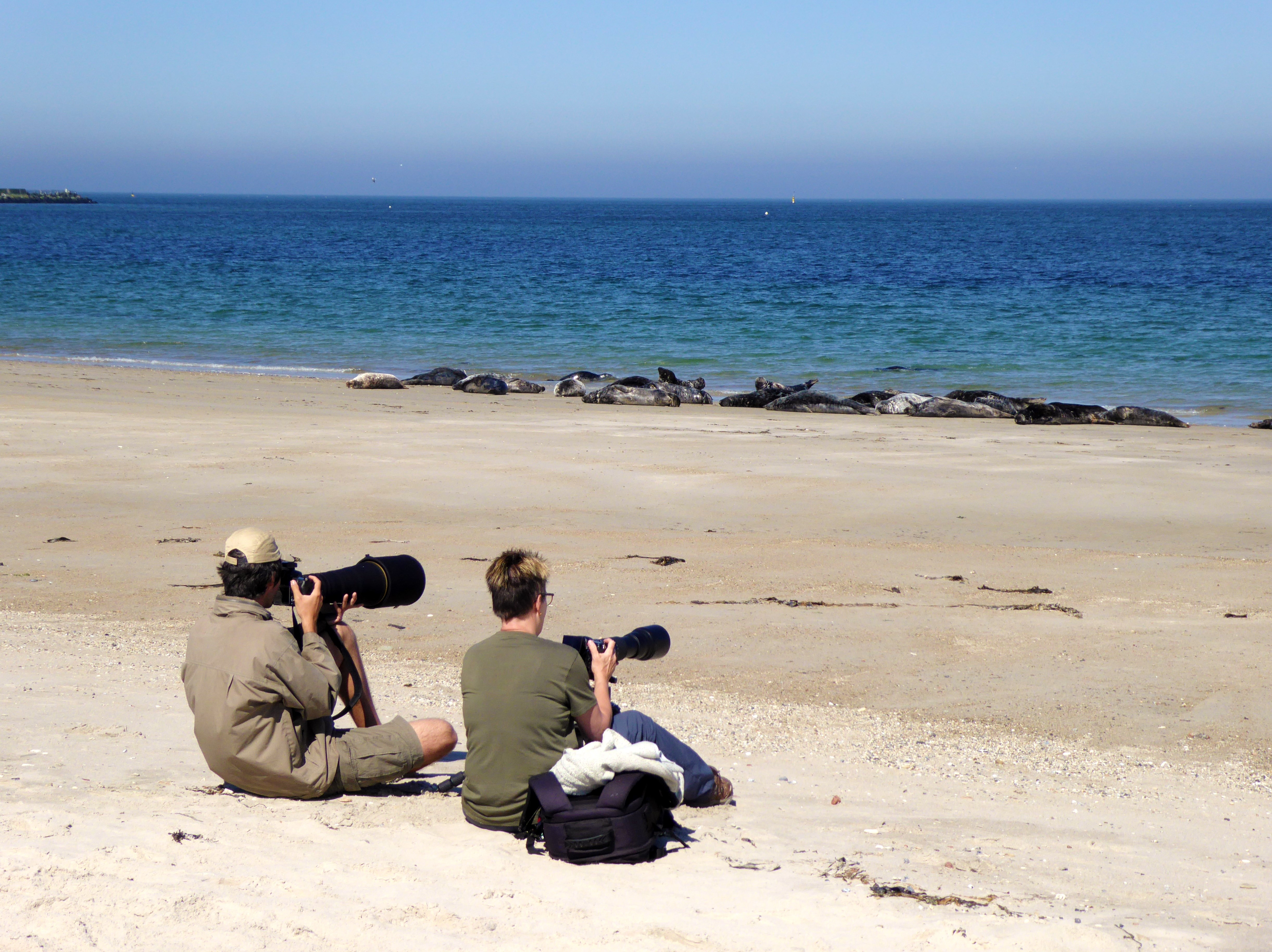 Sea Nature Photographer free image download
