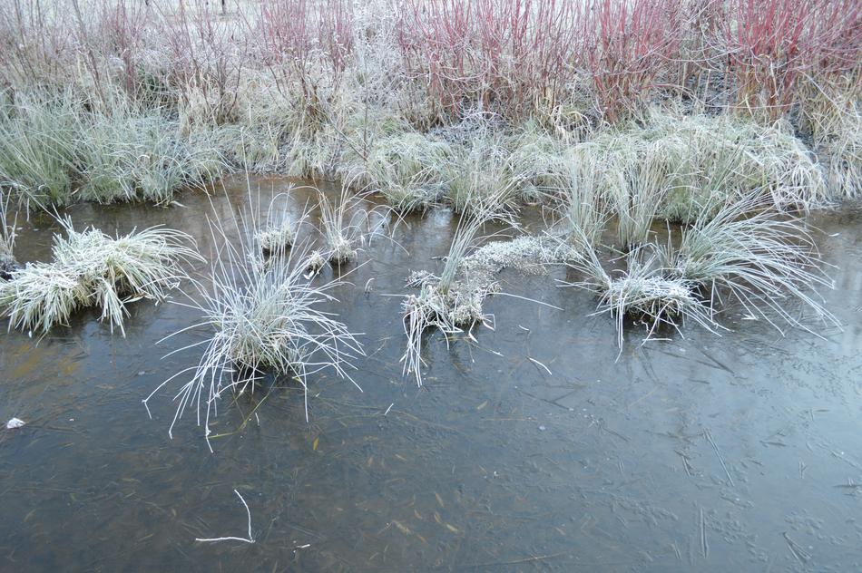 Frost Frozen Lake Winter Landscape free image download