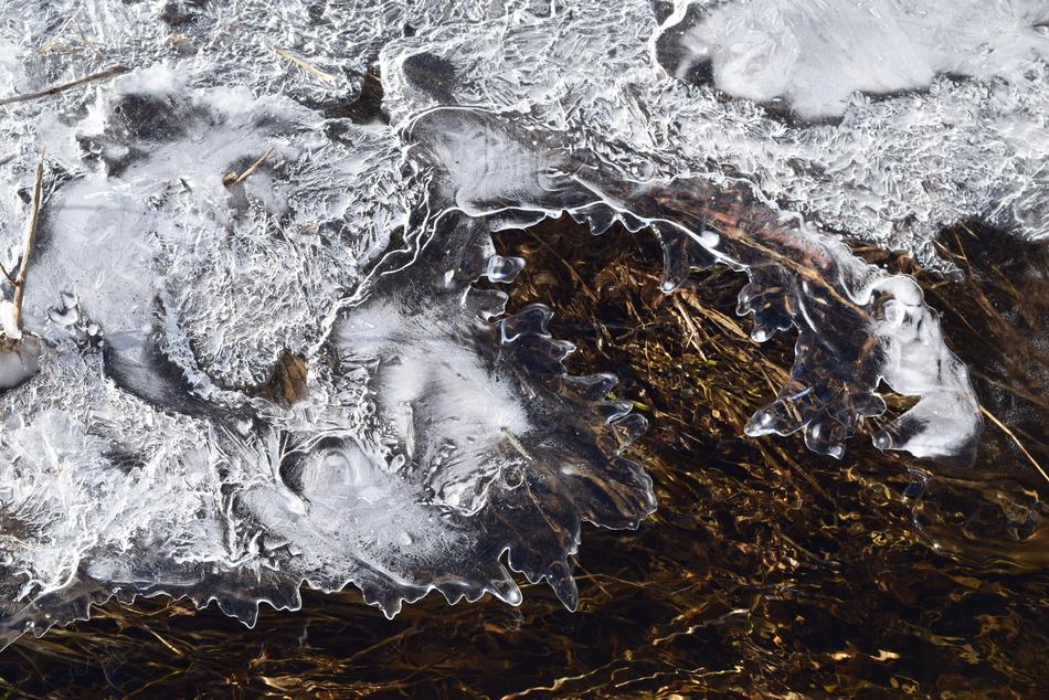 Ice Stream Winter free image download