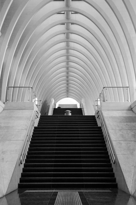 Black and white of the building by Santiago Calatrava, with stairs, in ...
