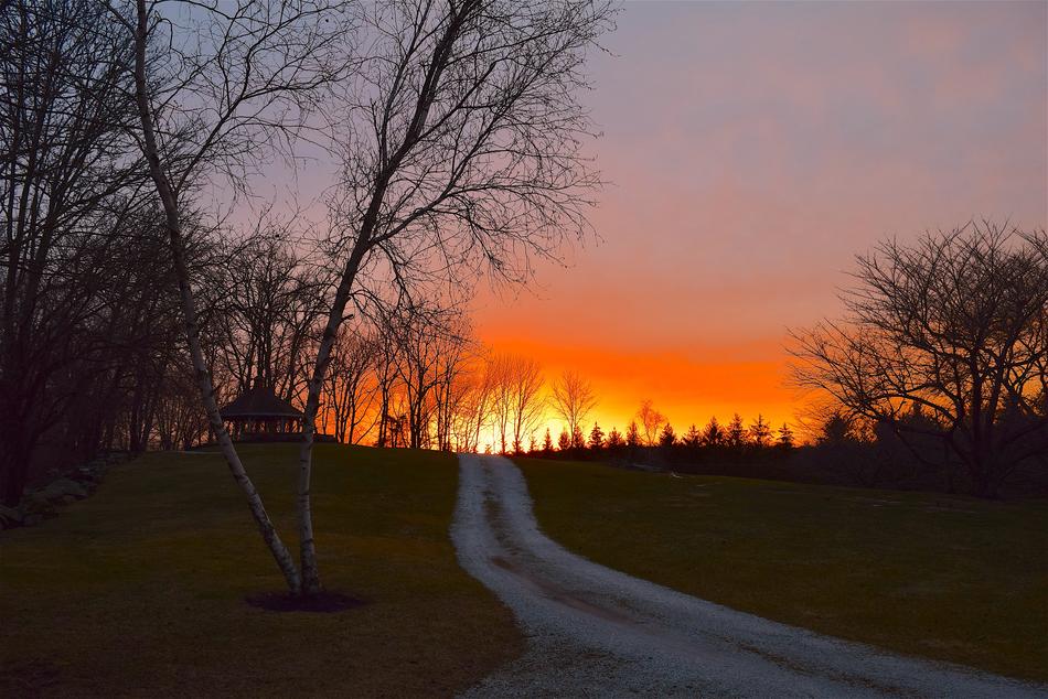 Sunset Park Nature free image download