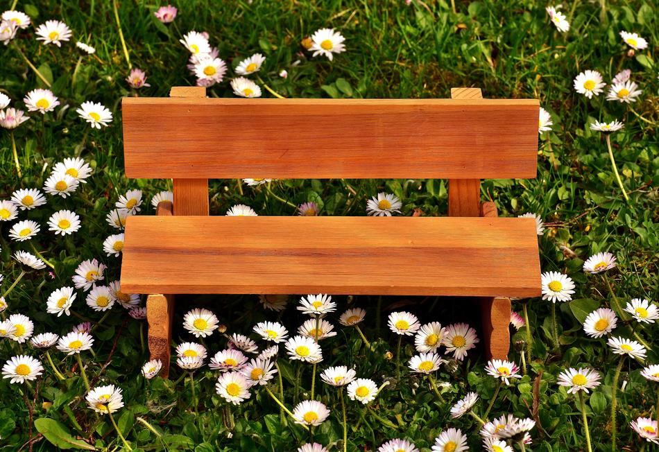 Bench Meadow Grass free image download