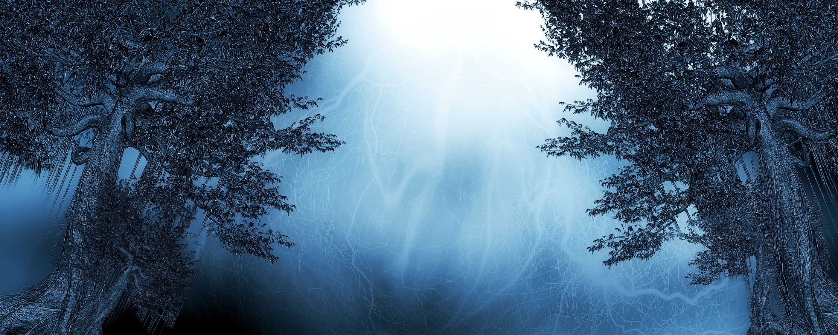 Tree light fantasy old tree forest free image download