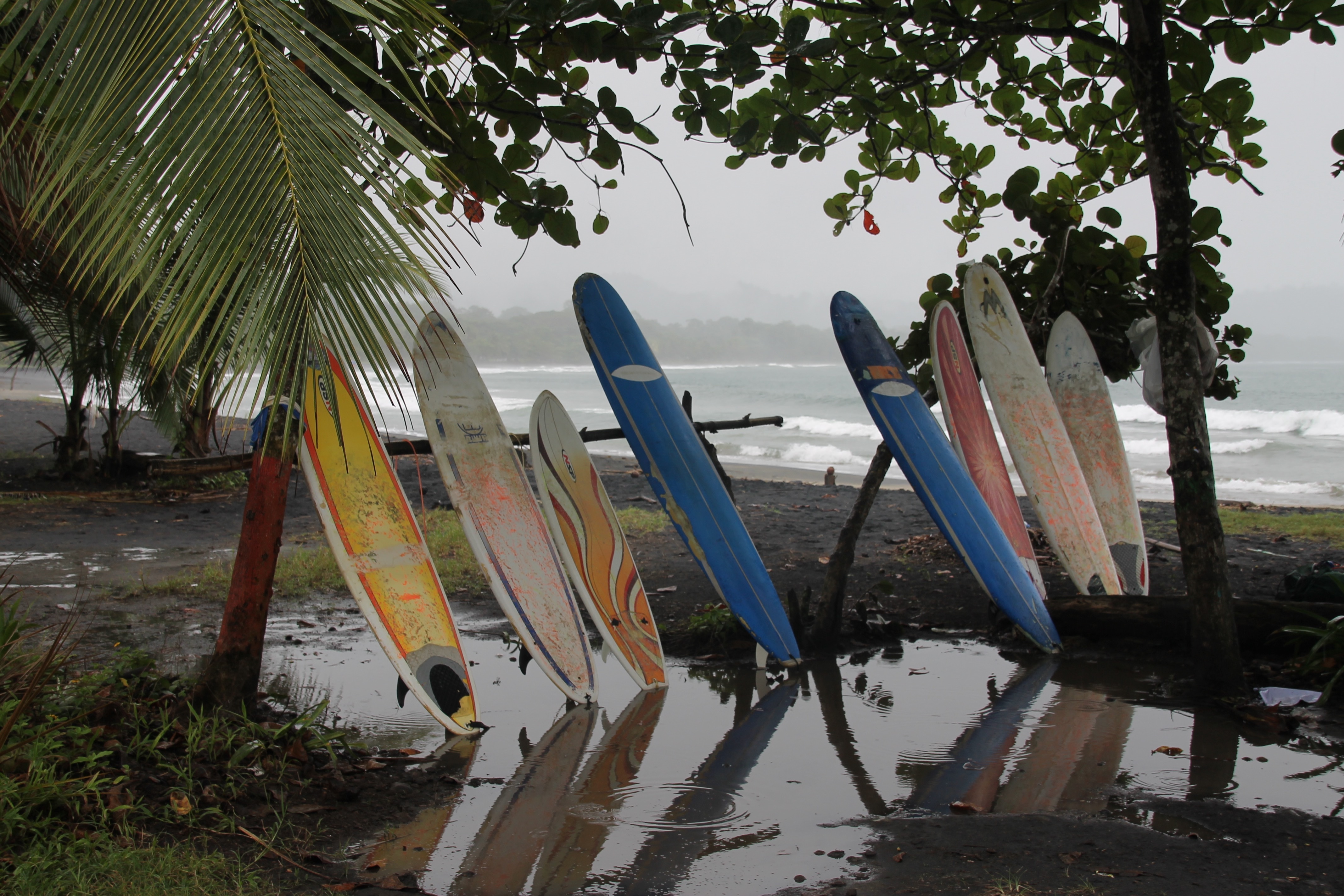 Surfing Sports Ocean free image download