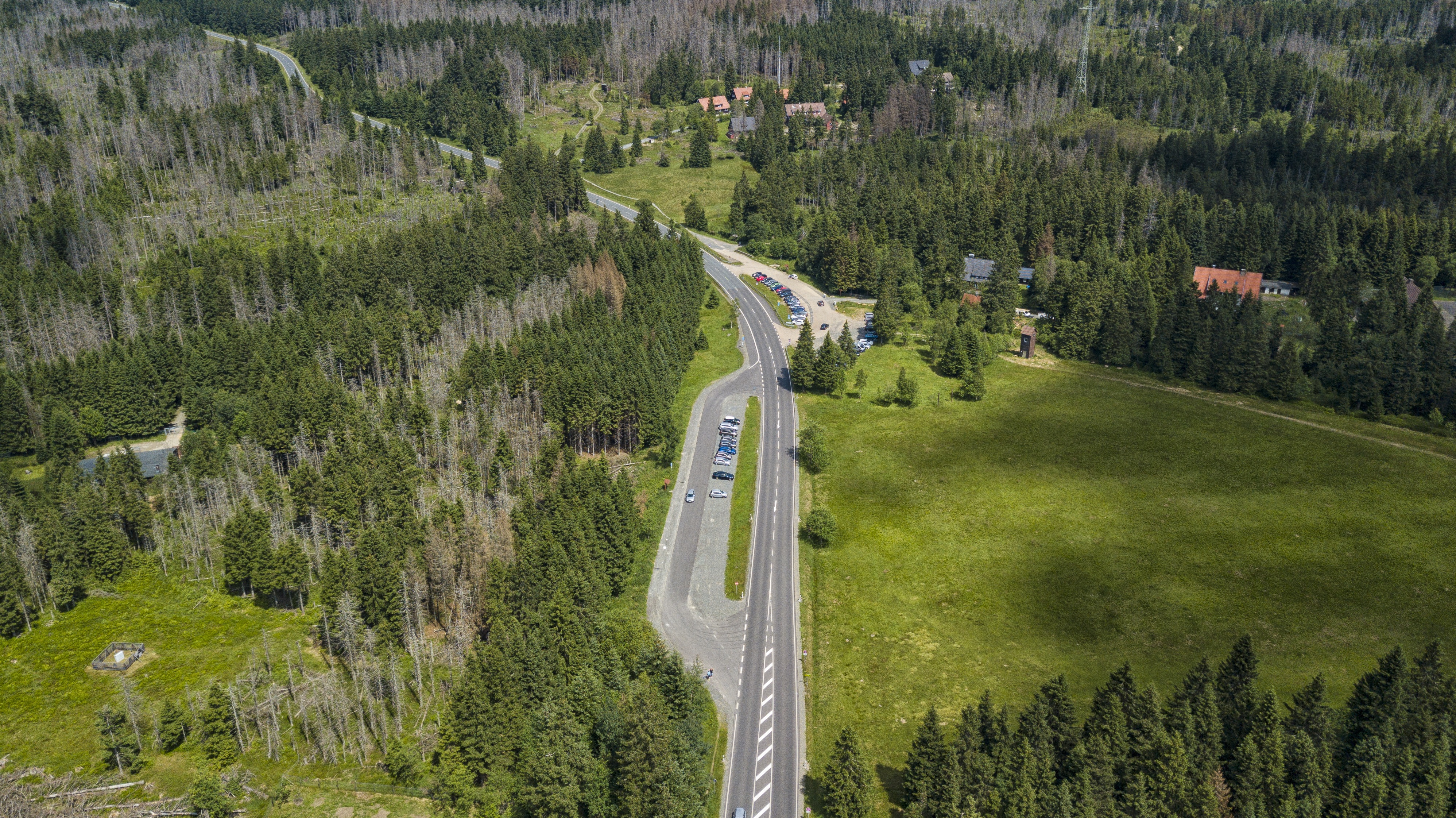 Resin Road Forest free image download