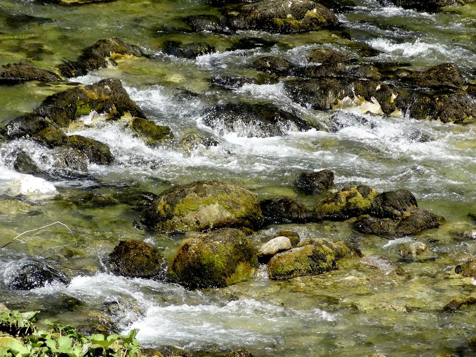 Water Stream River free image download
