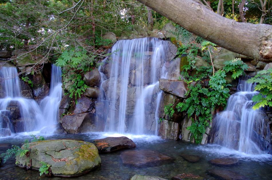 Waterfall Water Summer free image download