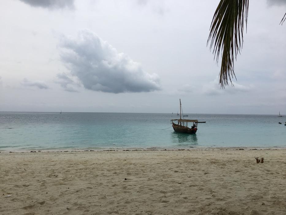 Zanzibar Ocean free image download