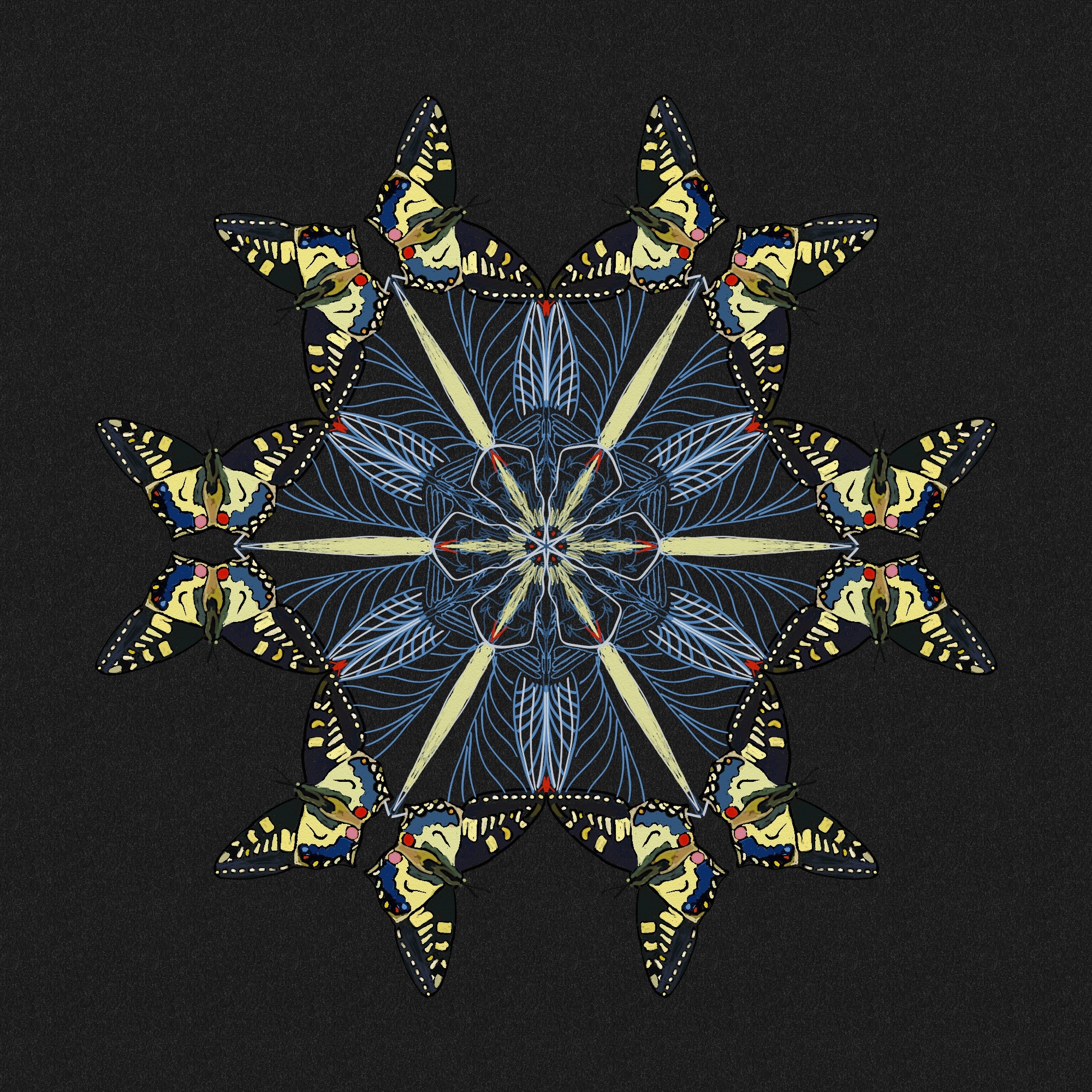 Mandala butterfly concentration free image download