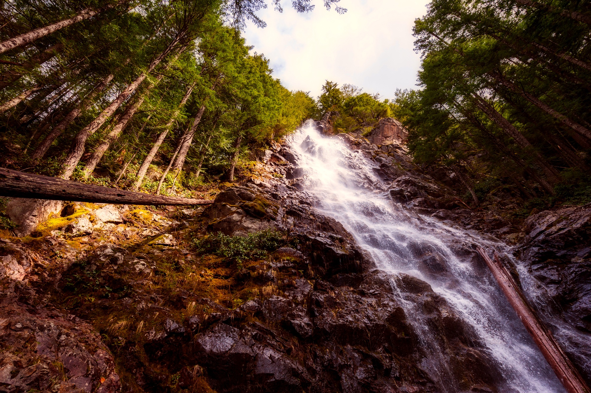 Waterfall Cascade Forest free image download