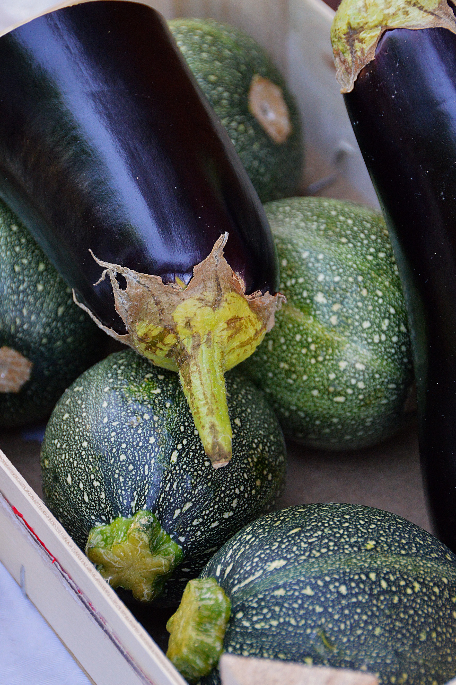 Ripe delicious fresh zucchini free image download