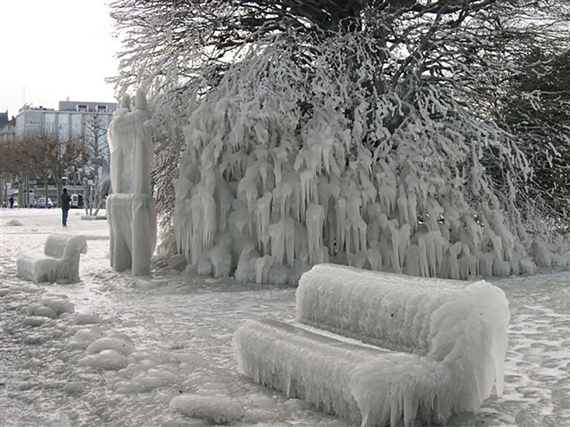 Cold Snowy park free image download