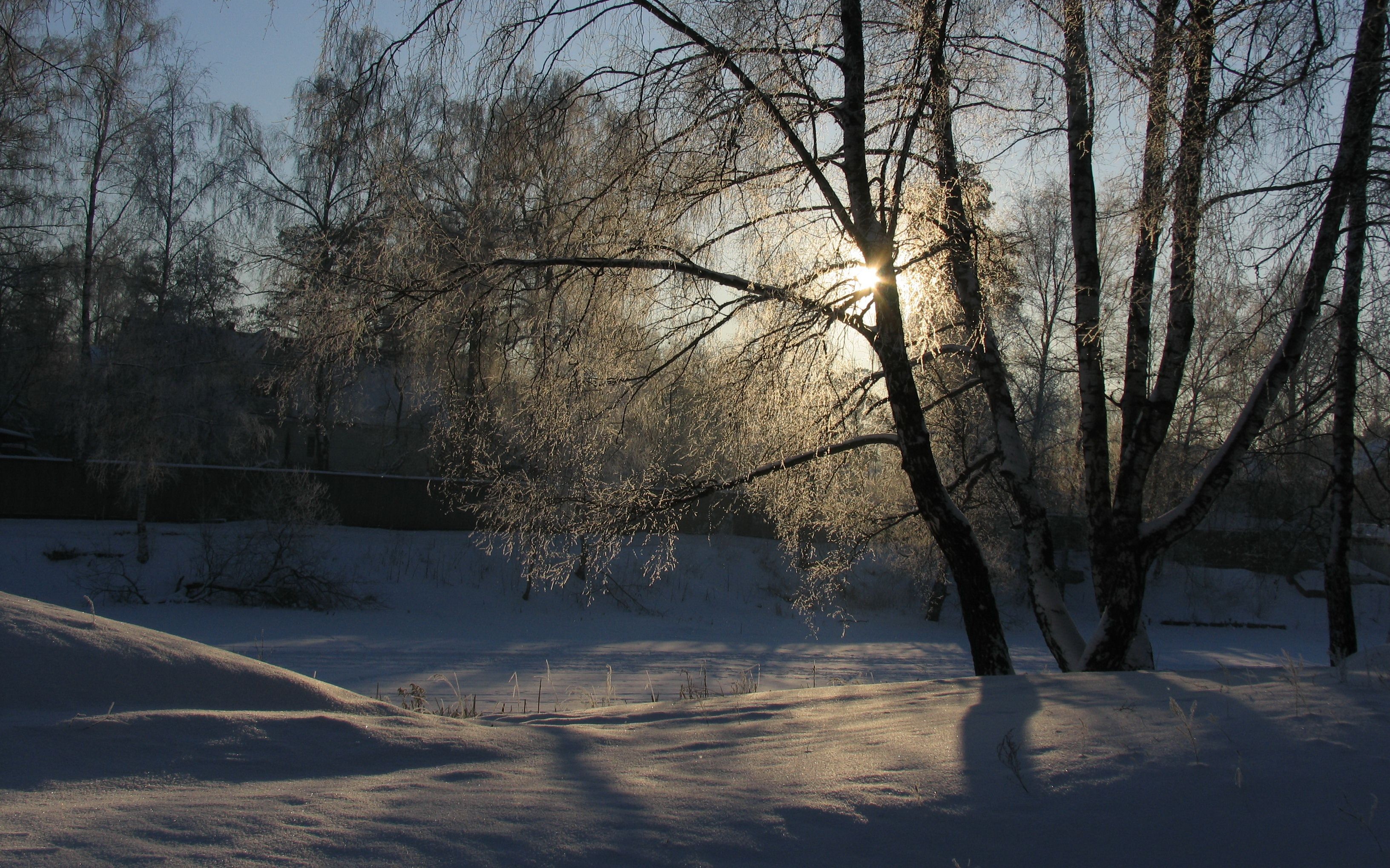Winter Snow Sun free image download