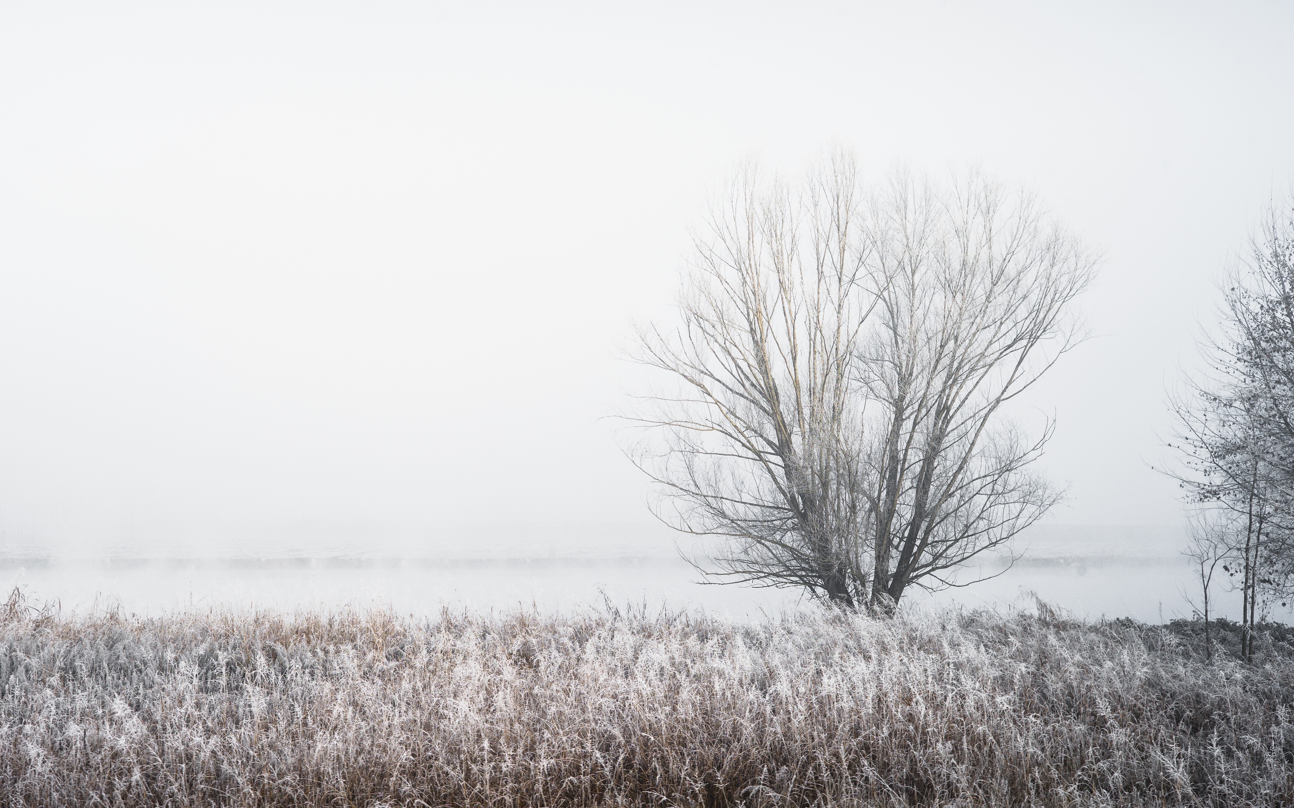 Winter cold lake landscape free image download