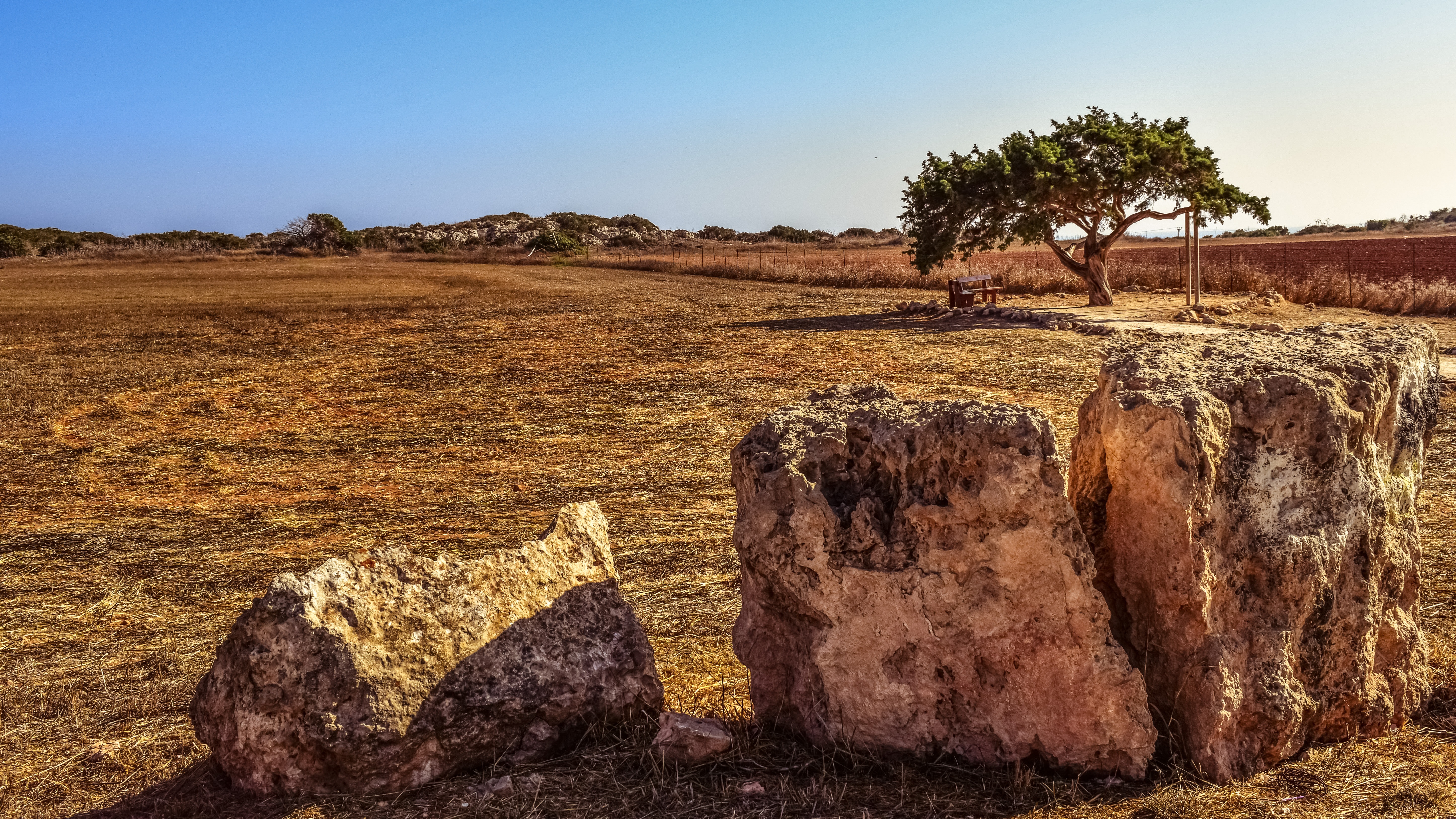 Rocks Tree Landscape free image download
