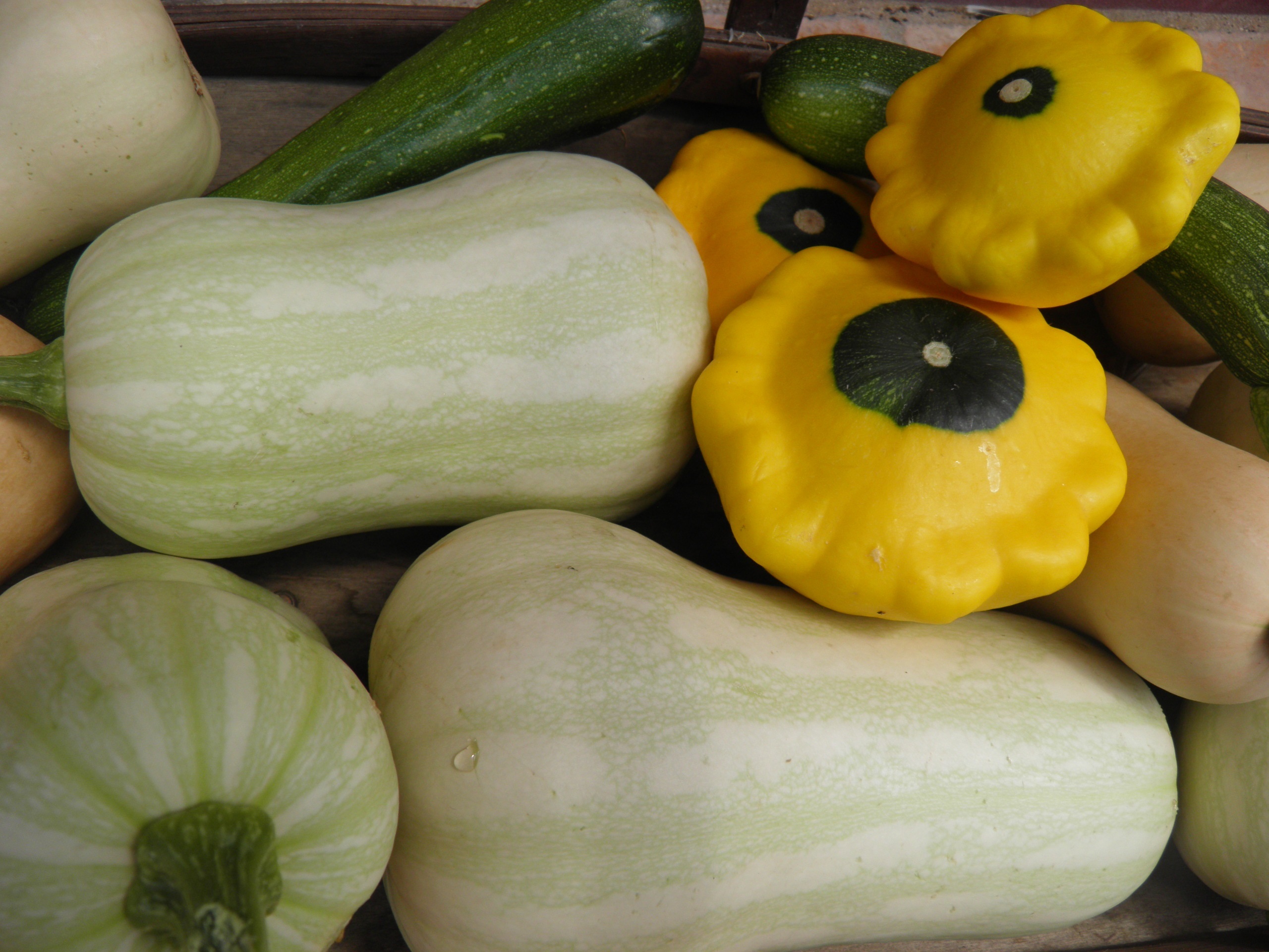Large vegetables free image download