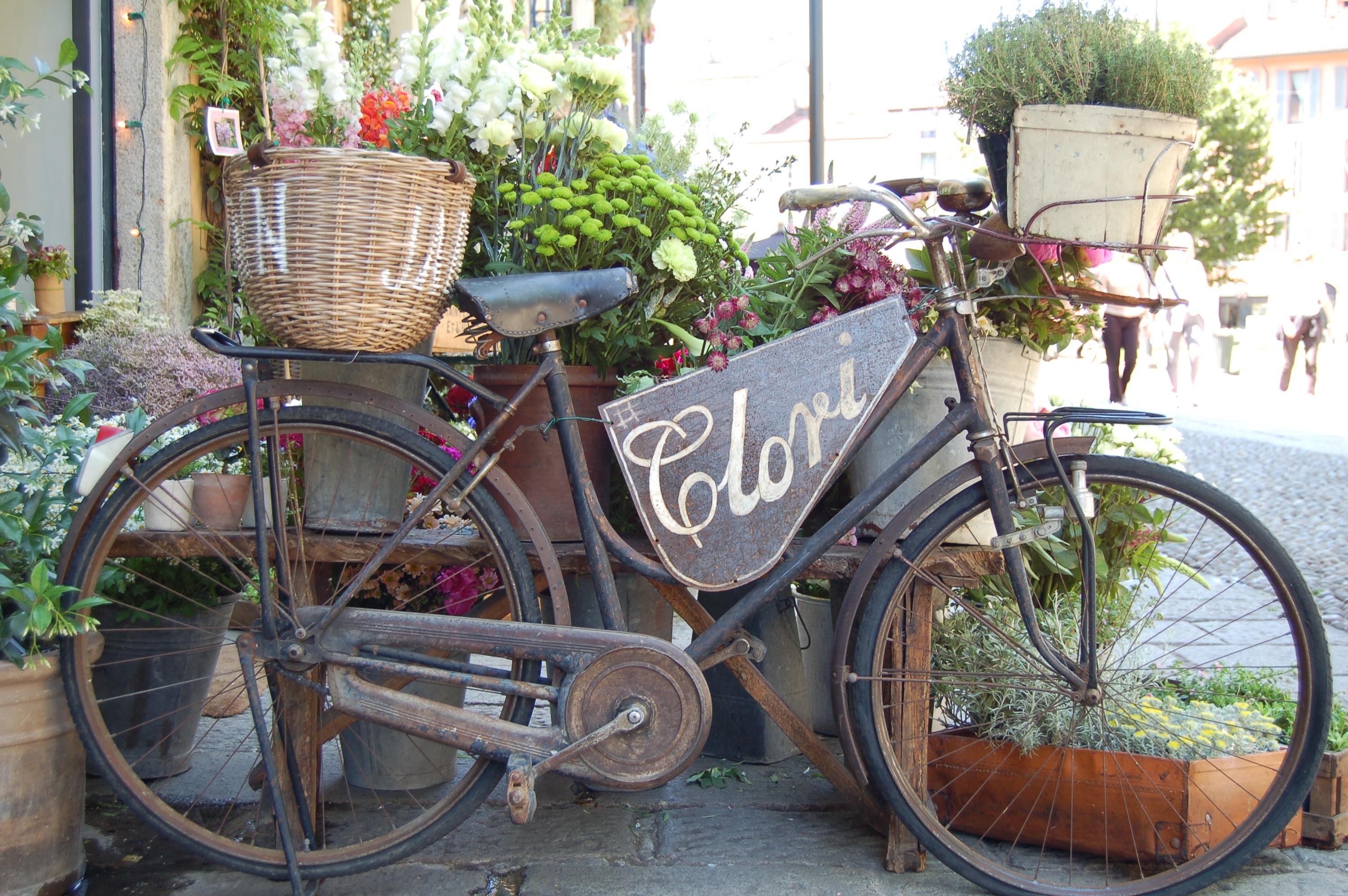 Bike Bicycle Flower free image download