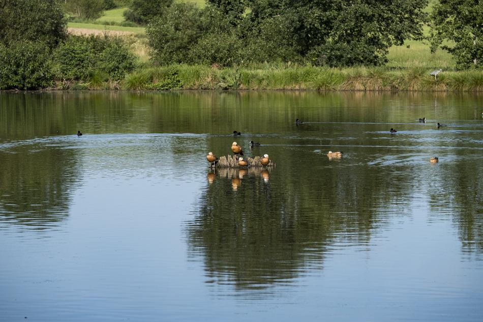 Pond Lake River free image download