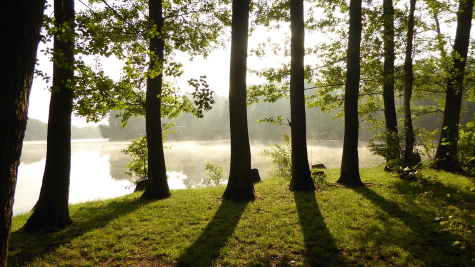 Light Shadow Play free image download